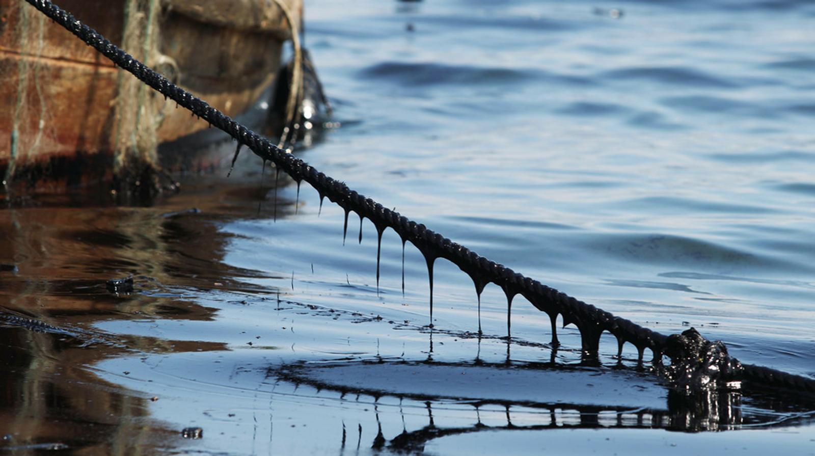 Cleaning up oil spills barehanded