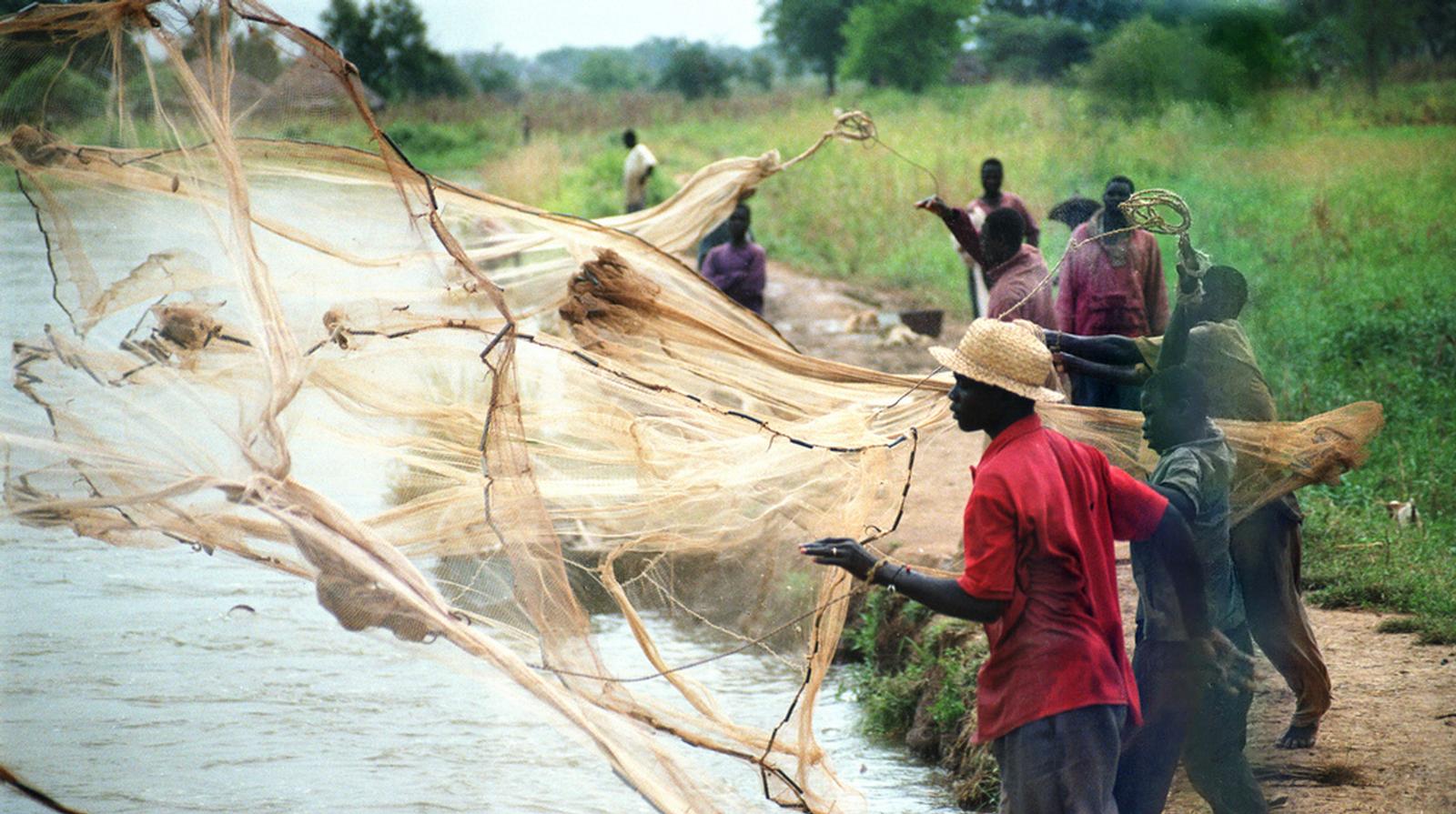 Well-being among Fisherfolks in Africa Research (WELFARE)