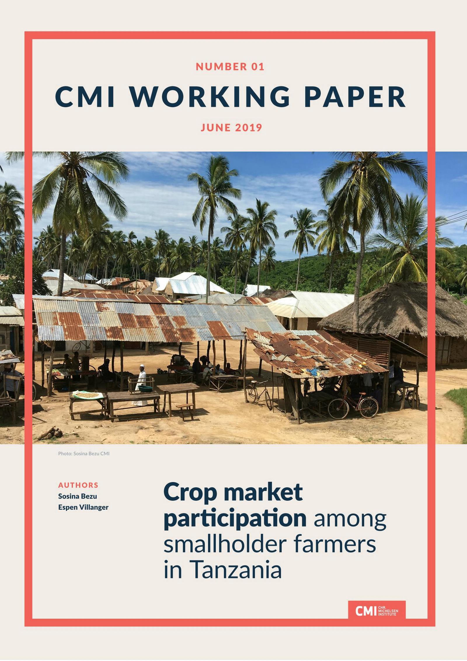 Crop market participation among smallholder farmers in Tanzania