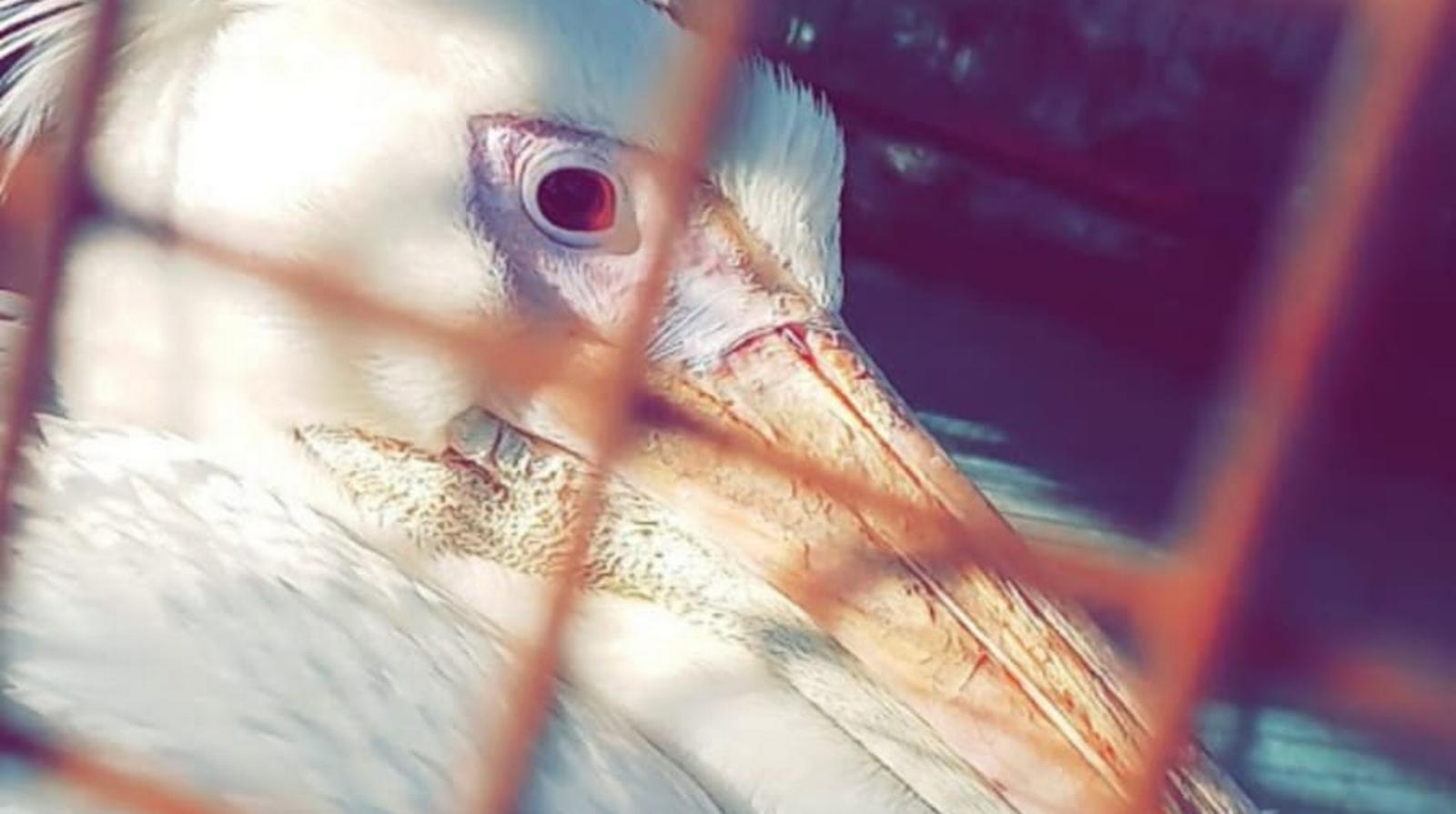 In Gaza, we are not numbers