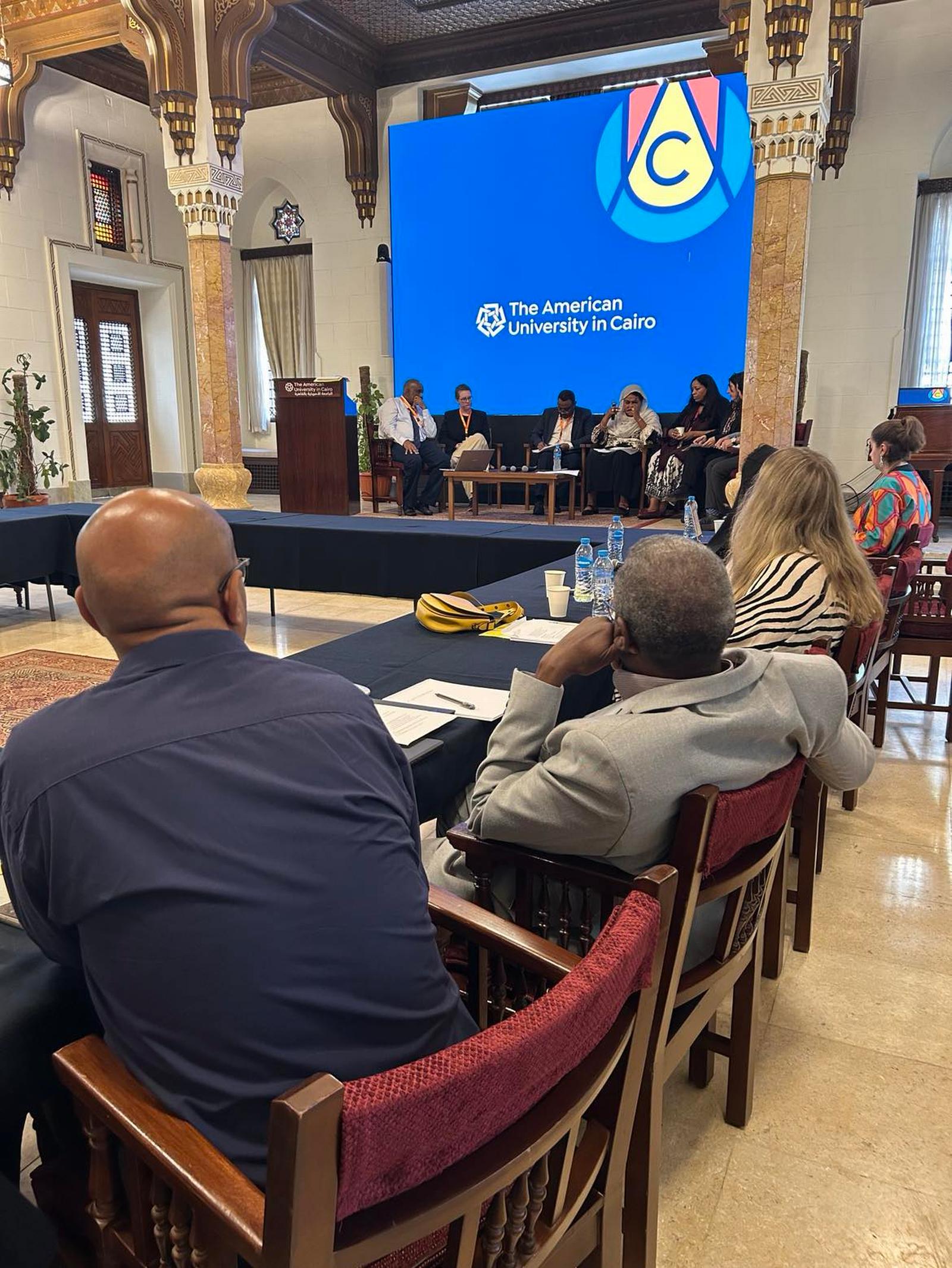 SNAC workshop in Cairo