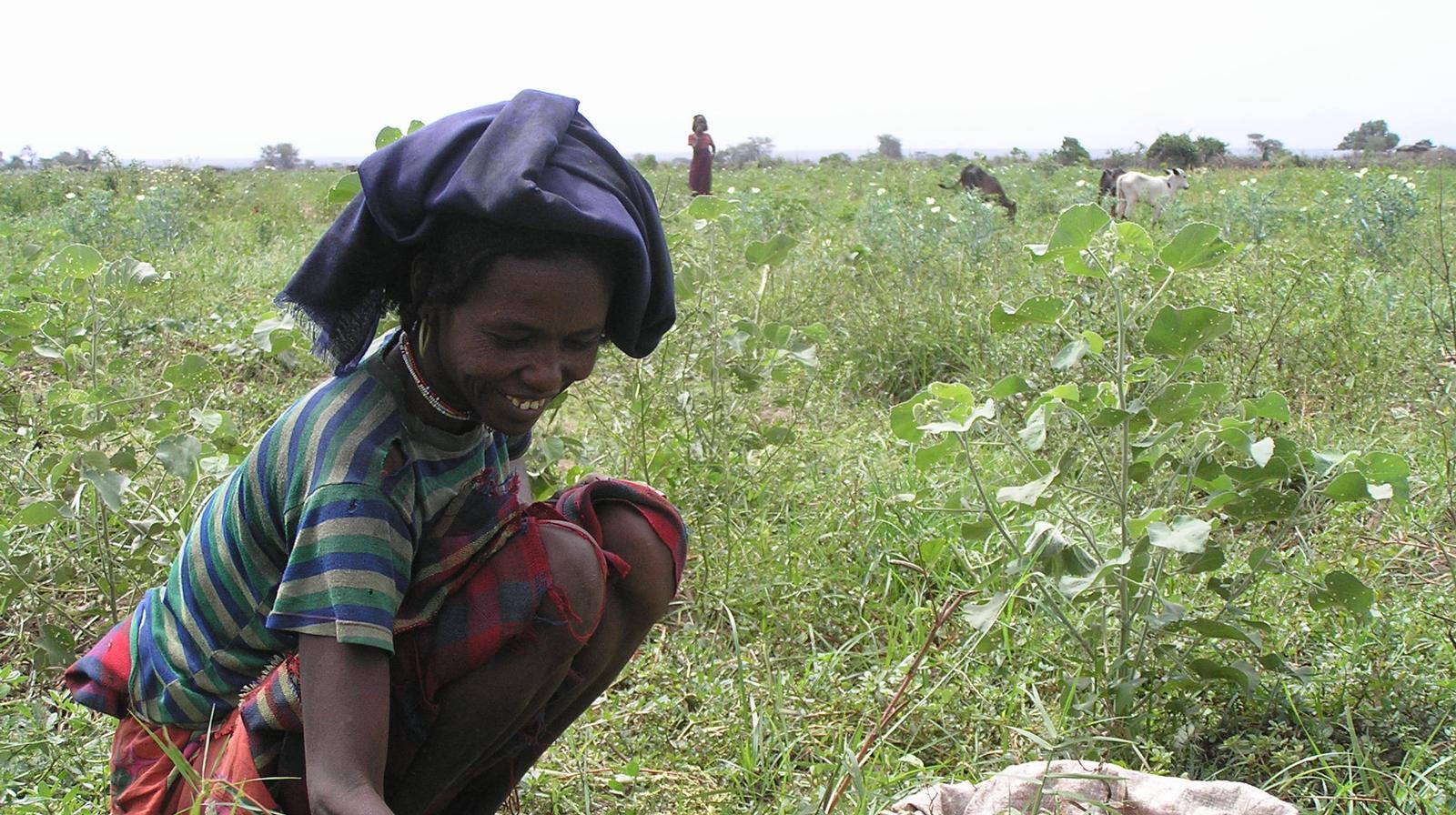 Resource Deprivation and Changes in Pastoral Land Tenure Systems